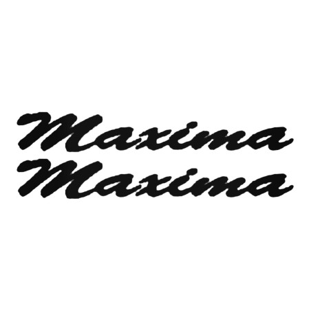 Cheetah Vinyl Decal Sticker V8 - DecalsHouse