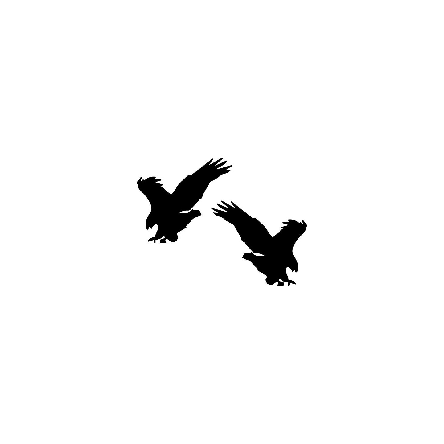 Buy Eagle Hawk Falcon Bird Online