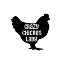 Crazy Chicken Lady Stickers – Hen Decals (2-Pack)