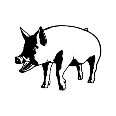 Pig Stickers – Realistic Swine Farm Decals (2-Pack)