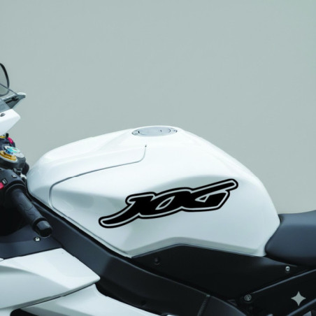 Bmw Gs 30 Years Badge Stickers Decals x2 - DecalsHouse