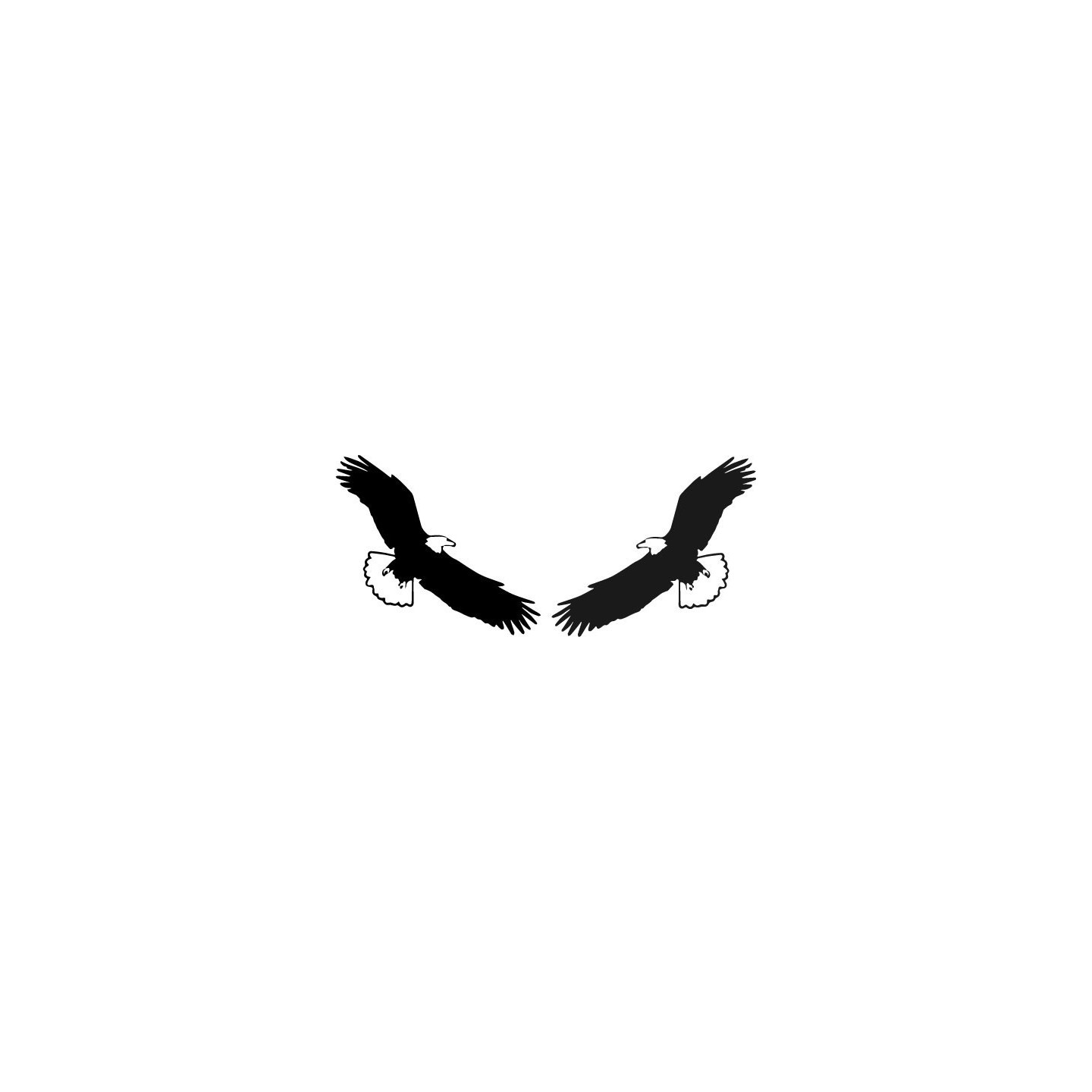 Buy Arend 6 Decal Sticker Online