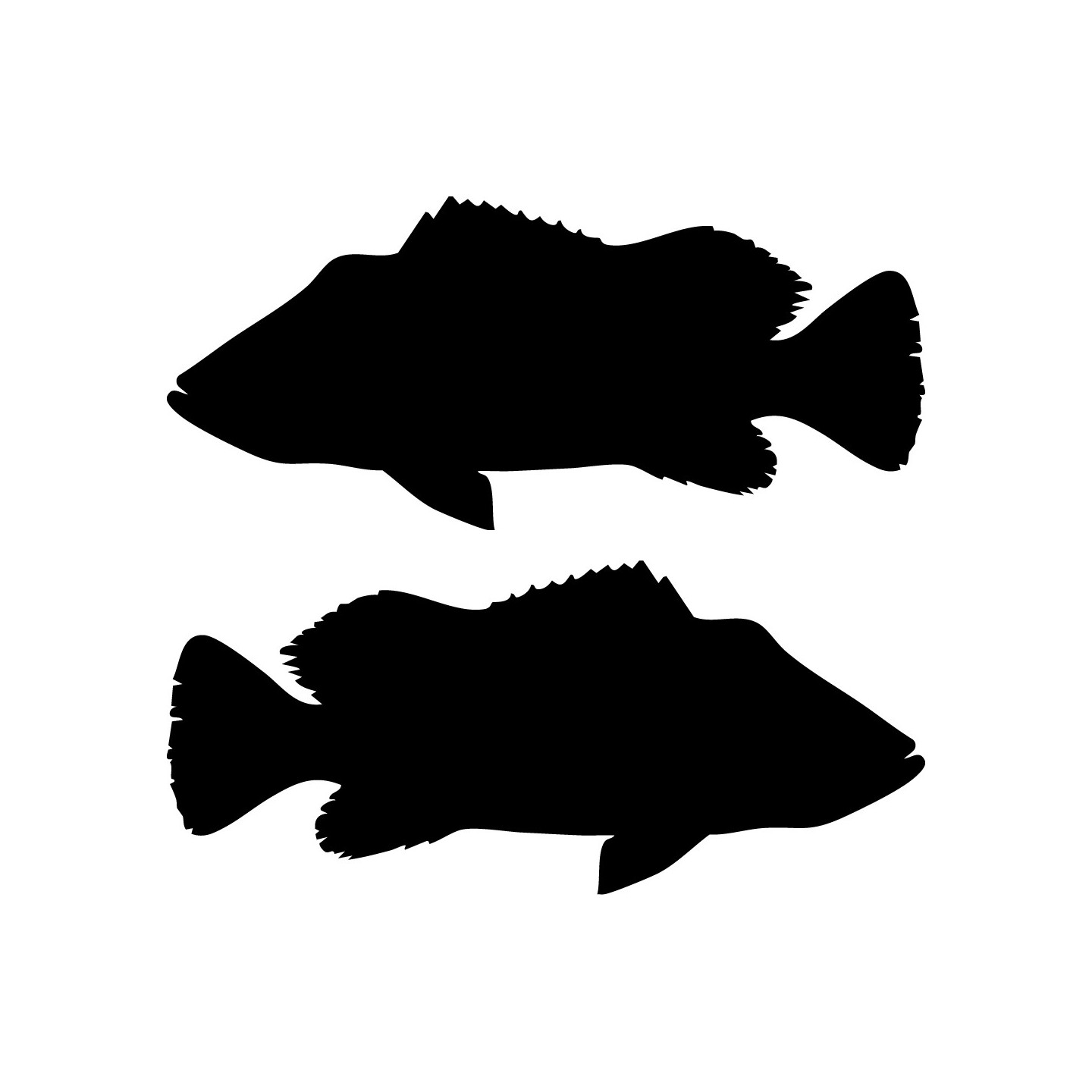 Chilean Sea Bass Stickers – Fish Silhouette Decals (2-Pack)