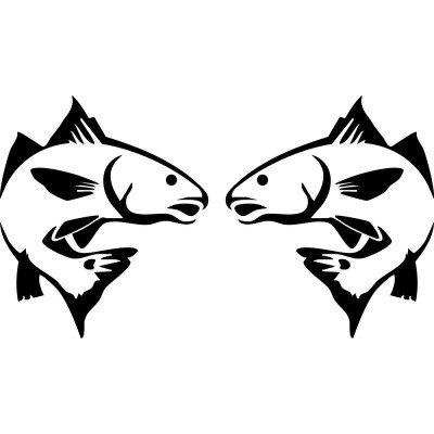 Chilean Sea Bass Stickers – Fishing Decals (2-Pack)