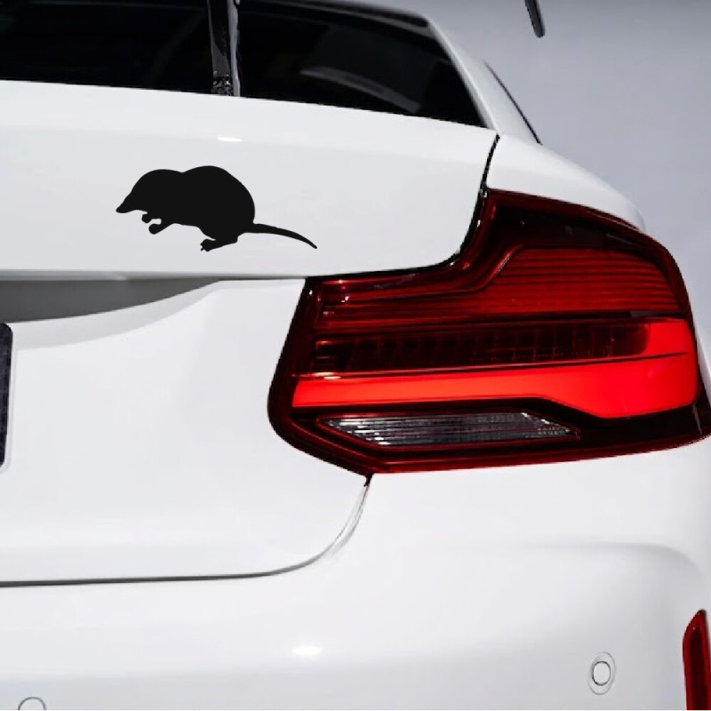 Buy Baleno Vinyl Decal Sticker Online